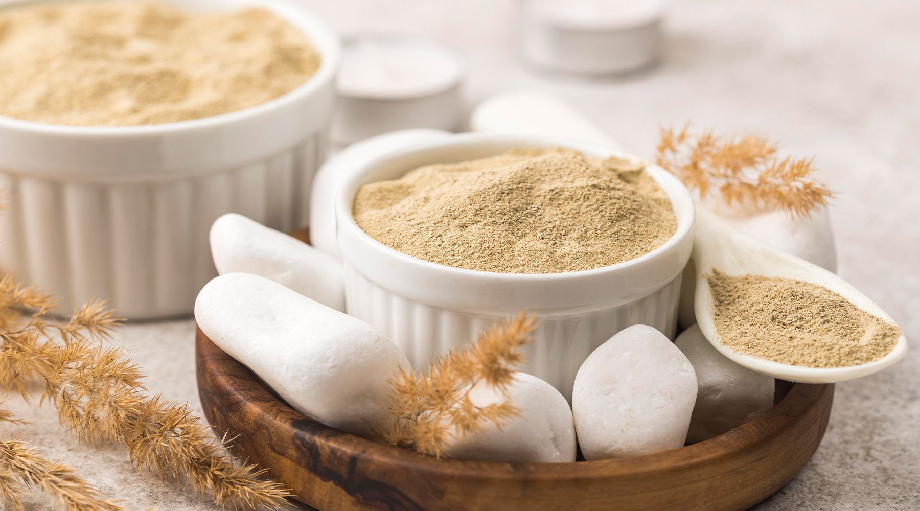 Protein tozu nədir? | Whey proteini – Bazarstore