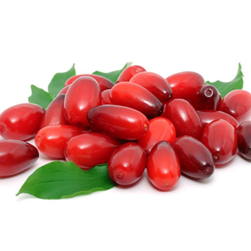 ZOĞAL KQ – Bazarstore